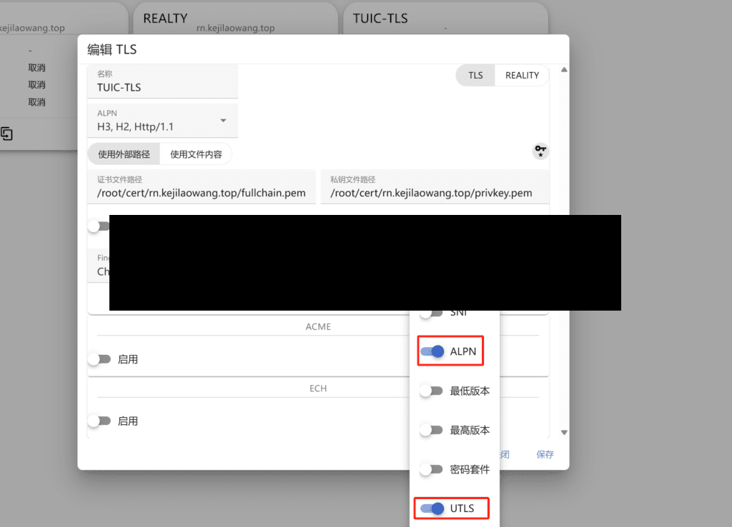 使用 S-UI 面板搭建 TUIC 加密方式科学上网 - 科技老王
